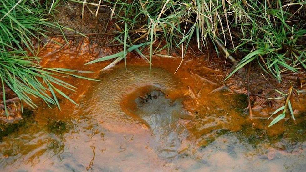 Landbouw medeschuldig aan bodemvervuiling in China | Pluimveeweb.nl ...