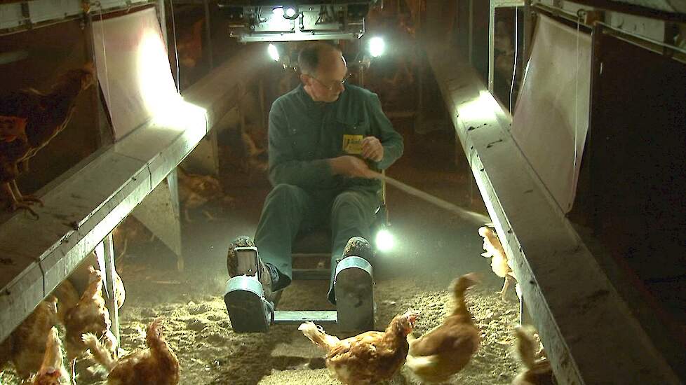 Het Pluimvee Symposium › Video: Meer arbeidscomfort met de Chicken ...
