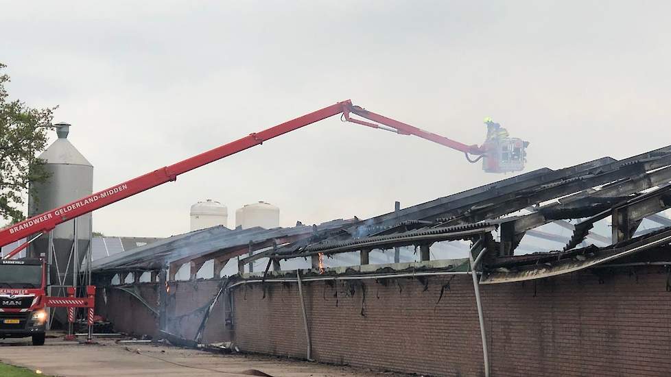 Oorzaak stalbrand Renswoude niet meer te achterhalen | Pluimveeweb.nl - Nieuws voor pluimveehouders