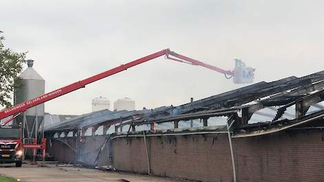 Oorzaak stalbrand Renswoude niet meer te achterhalen | Pluimveeweb.nl - Nieuws voor pluimveehouders
