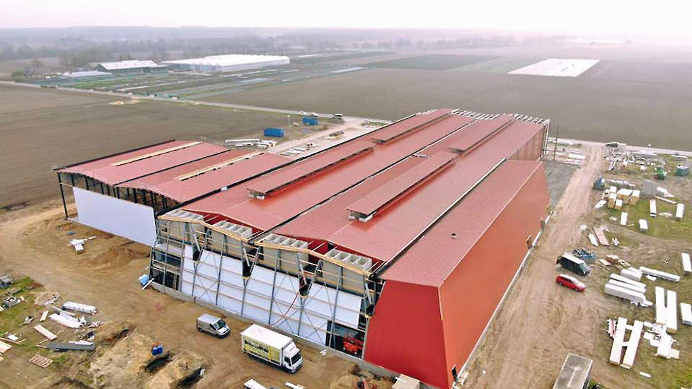 Bouw korte keten Kuijpers Kip vordert | Pluimveeweb.nl - Nieuws voor ...