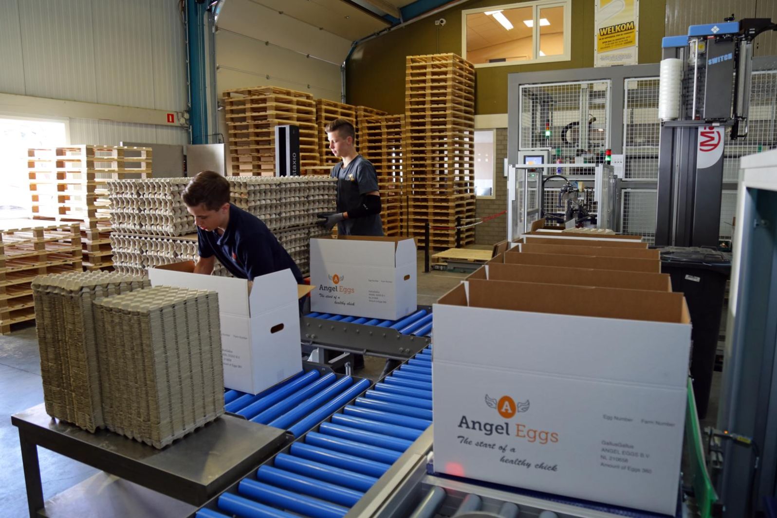 Fotoserie: Vermeerderaar moet weten en voelen wat de markt doet ...