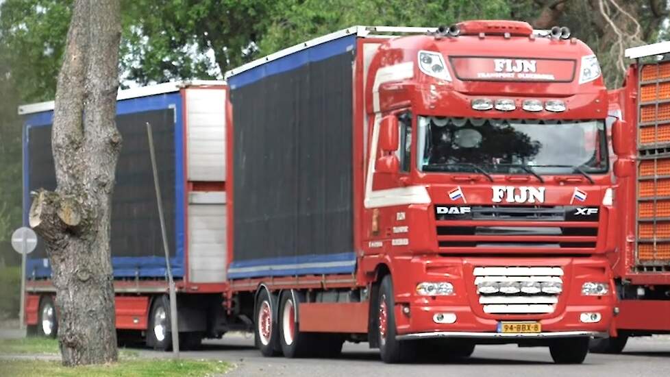 NVWA stuurt vrijdag meer inspecteurs de weg op voor controle veevervoer ...