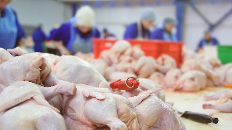 Personeel Frisia Food in Haulerwijk kan aan de slag in Dedemsvaart ...
