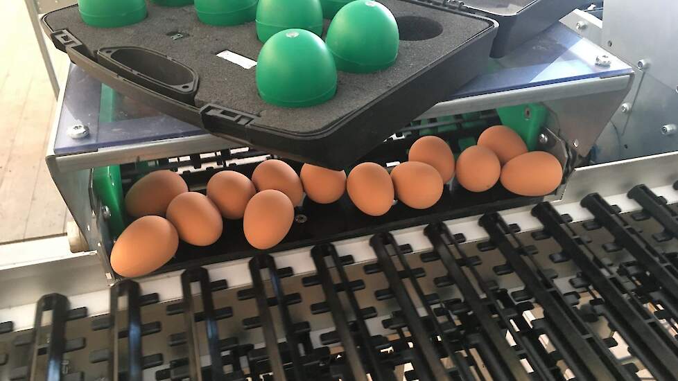 Vencomatic › Gregg garandeert de kwaliteit van onze machines ...