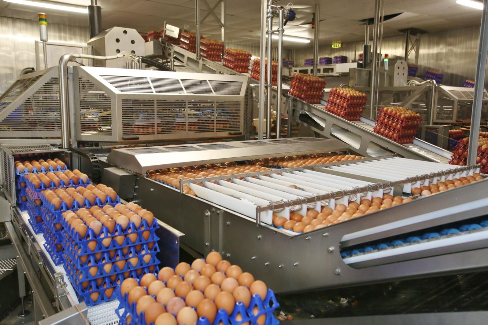 Fotoserie: 'Het Nederlands ei is een rijk product met toekomst ...