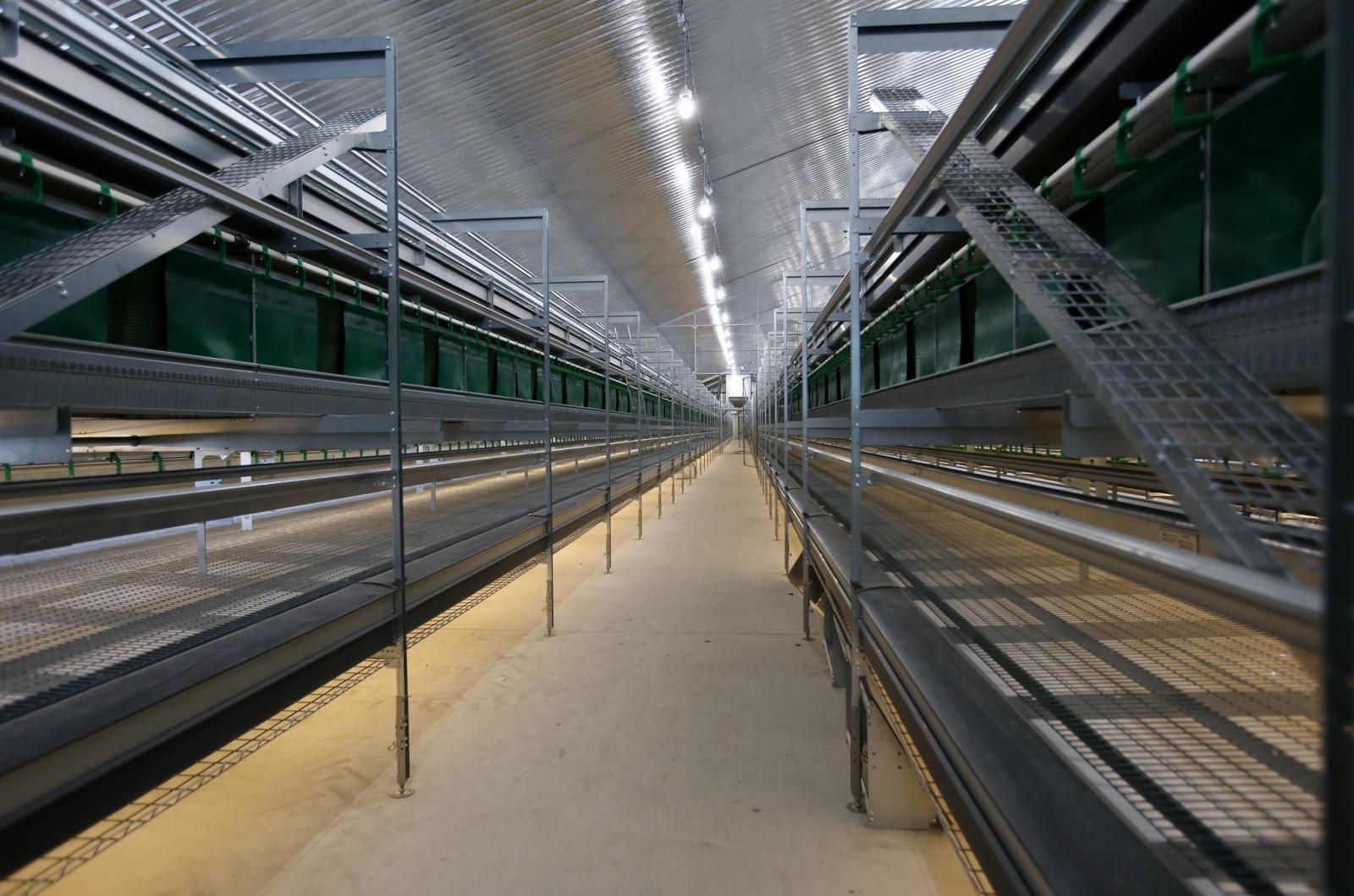 Fotoserie: Vrije uitloop hennen in nieuwe 2 sterren Beter Leven stal ...