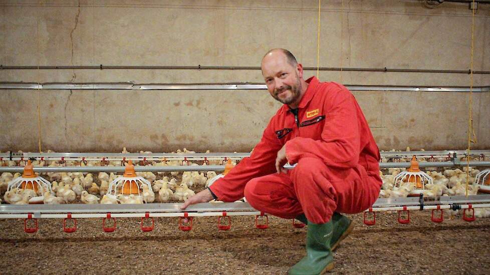 'Kip kan concurrentie met kweekvlees aan' | Pluimveeweb.nl - Nieuws ...