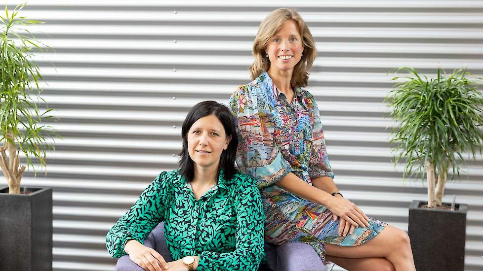 'Innovatie is essentieel om vraagstukken op te pakken' | Pluimveeweb.nl ...