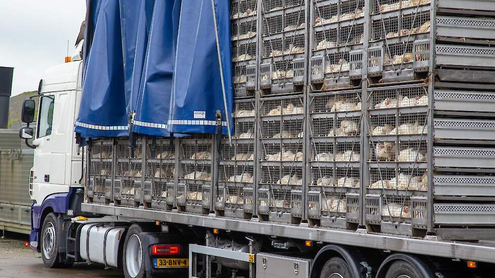 2 Sisters Storteboom gaat verder onder de naam Storteboom Food Group ...