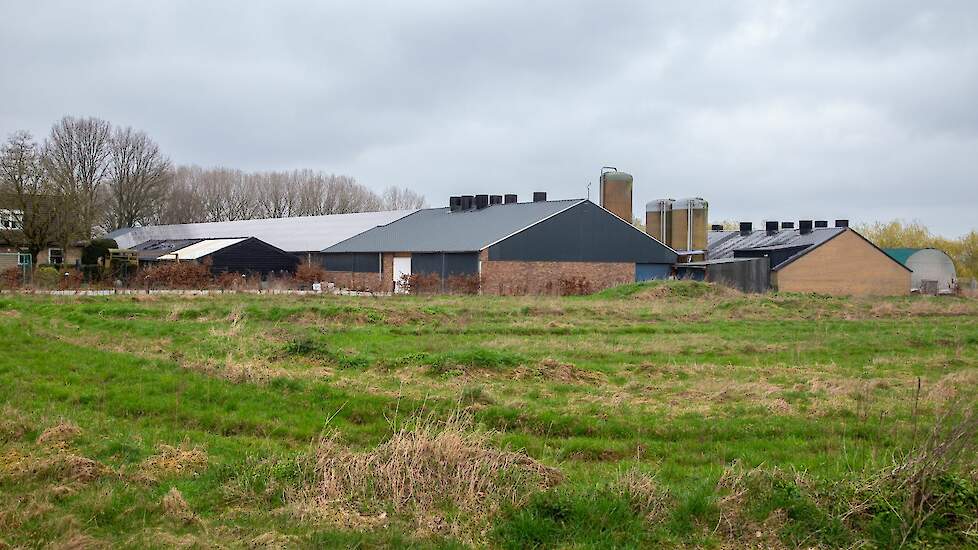 Stelling: Uitspraak rechter is uitstel van executie voor Brabantse ...